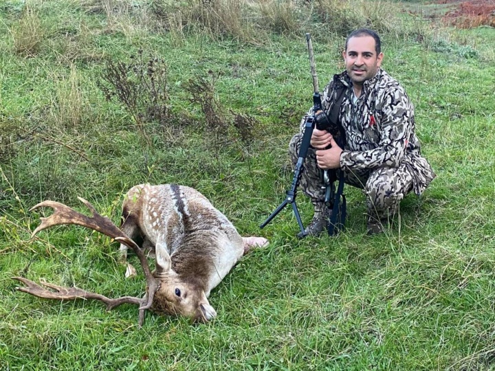 Species guide: hunting the wily fox - Sporting Shooter