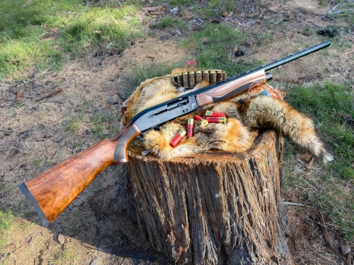 Review: Buckmaster PB 12 button-release shotgun - Sporting Shooter