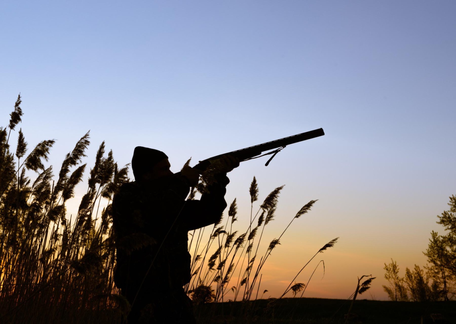 Short, low-bag and "boring" duck hunting season opens in Victoria ...
