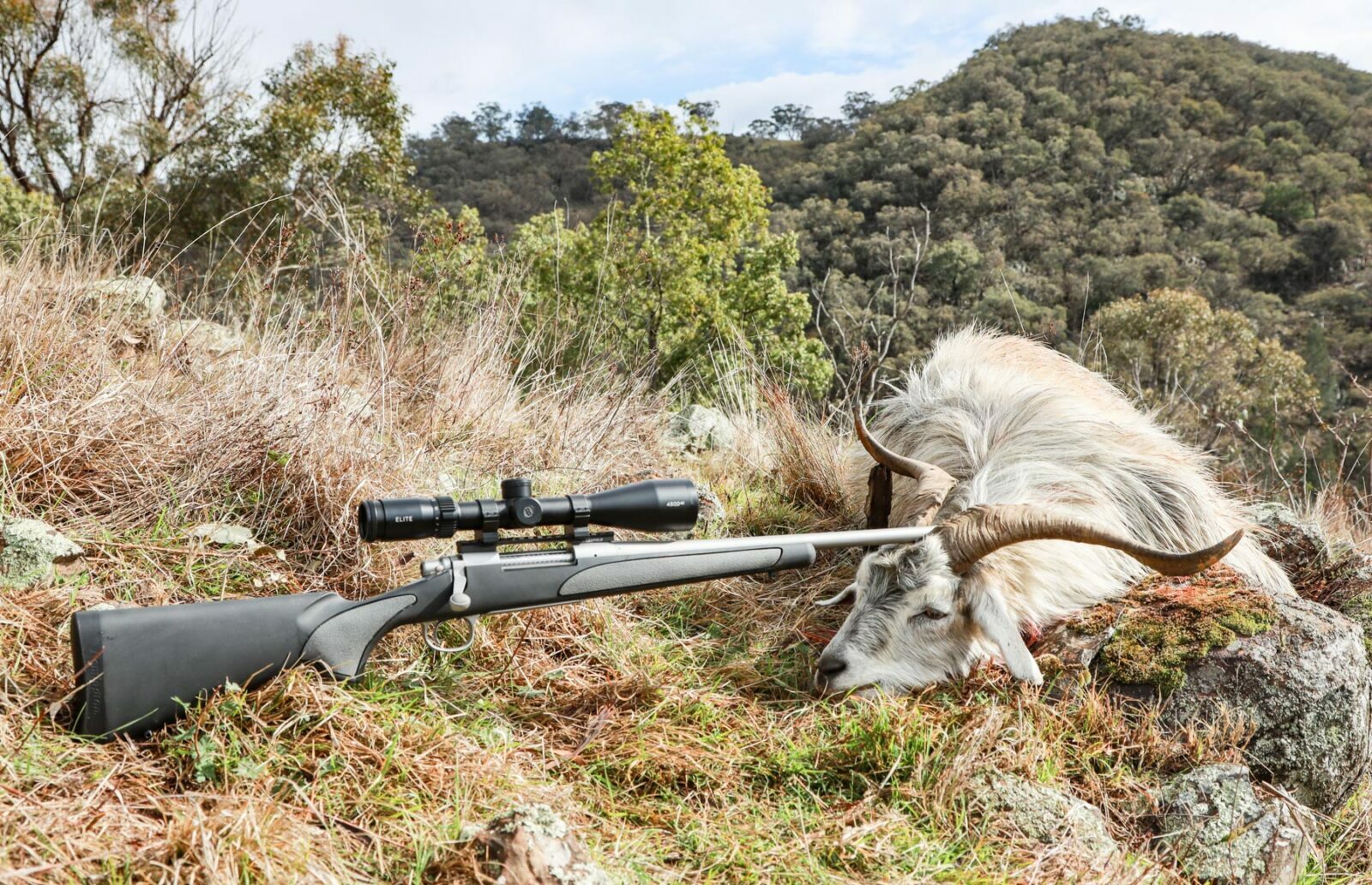 Review: Remington Model 700 SPS Stainless - Sporting Shooter