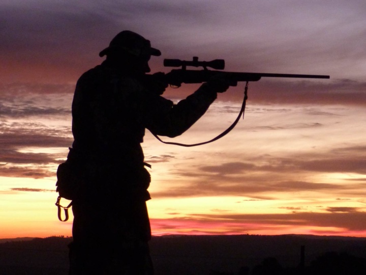 South Australian Minister challenged over bowhunting ban - Sporting Shooter