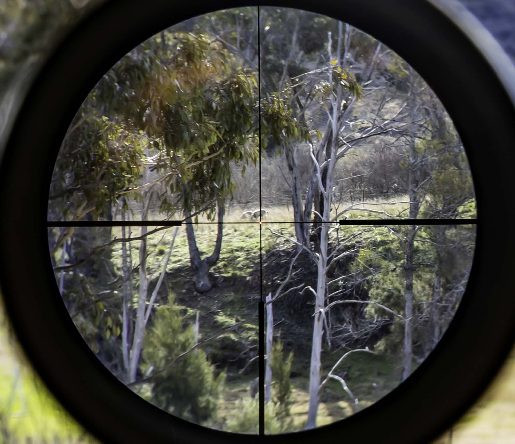 Review: Zeiss Conquest V4 1-4x24 rifle scope - Sporting Shooter