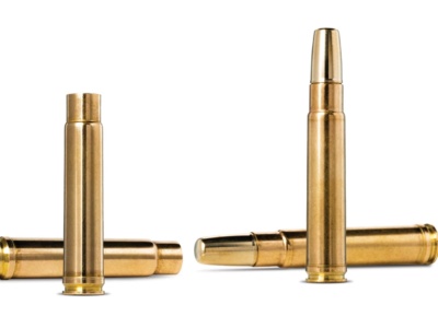 Why the .416 Taylor wildcat is the best big 40-cal - Sporting Shooter