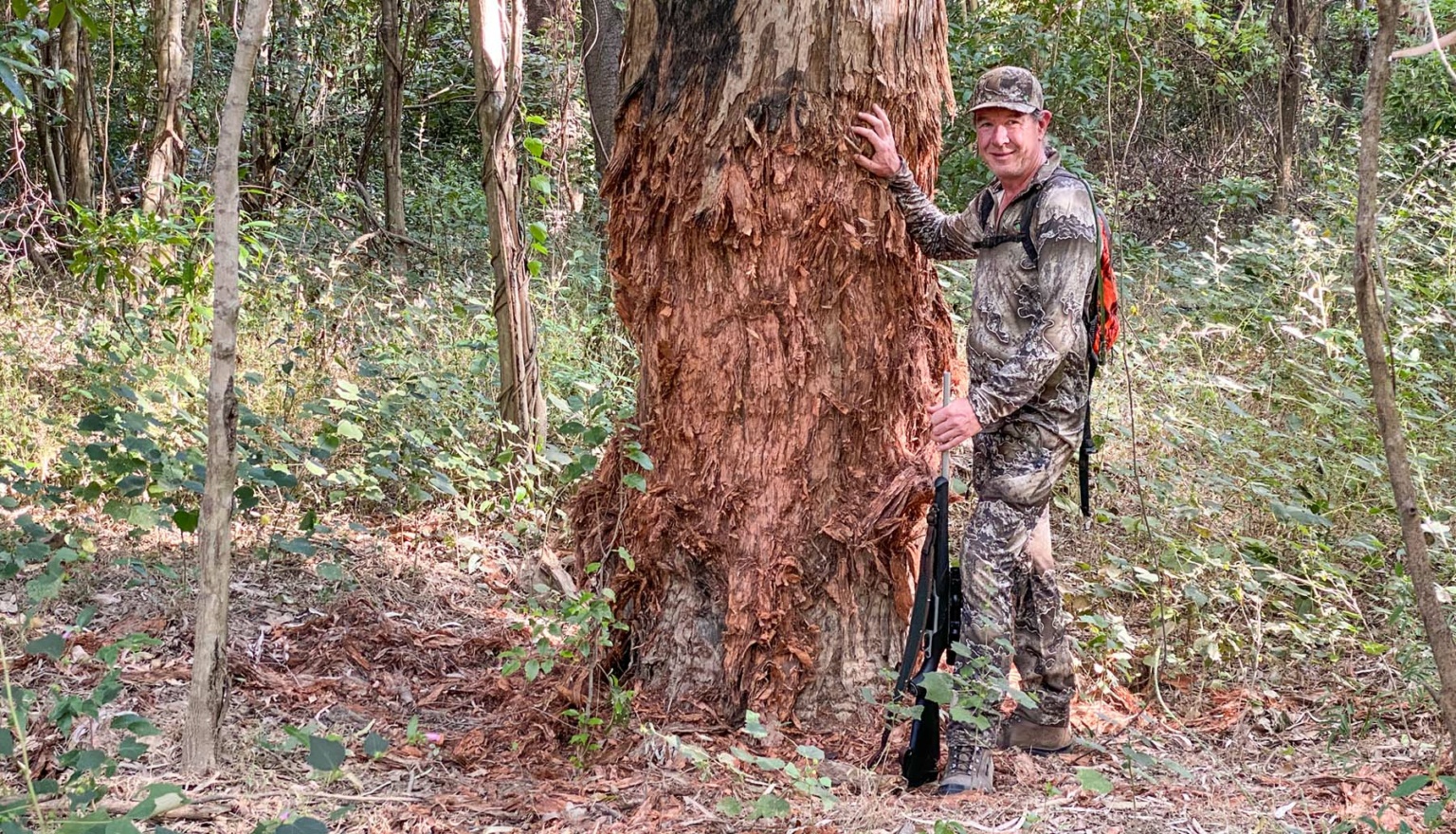 Species guide: Wild scrub bulls - Sporting Shooter