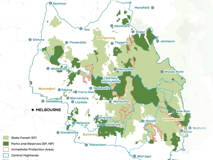 Longer season, bigger bag for Victoria duck hunters in 2025 - Sporting ...