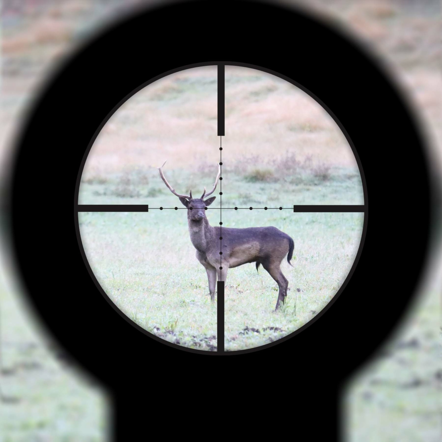 How to shoot with a mil-dot reticle in your rifle scope - Sporting Shooter