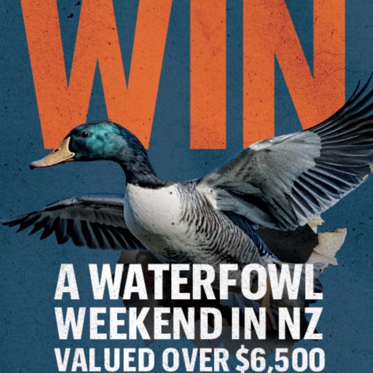 Longer season, bigger bag for Victoria duck hunters in 2025 - Sporting ...