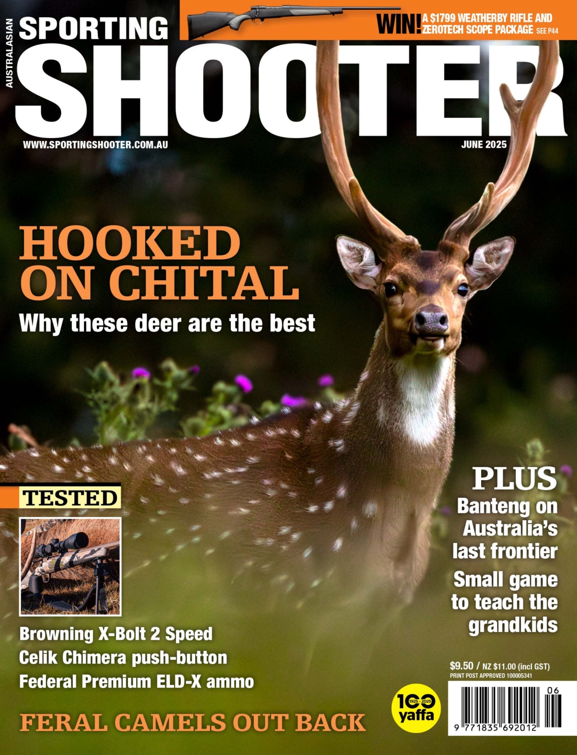 NSW firearms data: almost 250,000 shooters and over 1m guns - Sporting ...