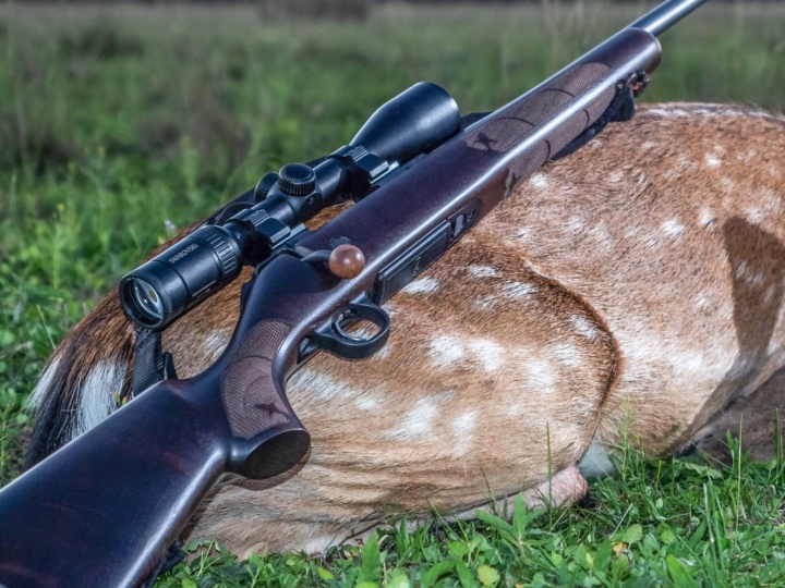 Review: CZ 600 Series, with a focus on the Alpha - Sporting Shooter