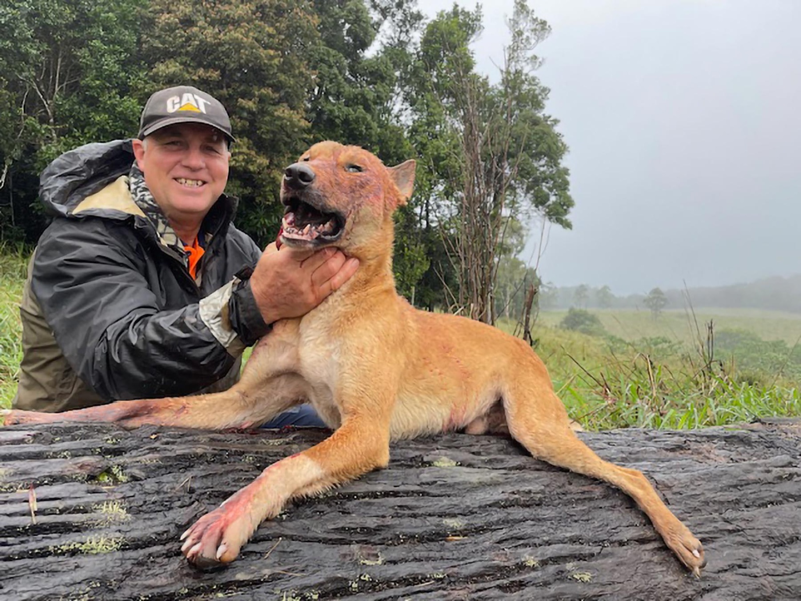 Red deer: Your guide to hunting the king of deer - Sporting Shooter
