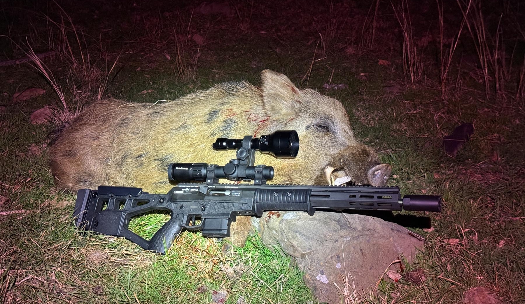 Review & video: Southern Cross Taipan Evo rifle - Sporting Shooter