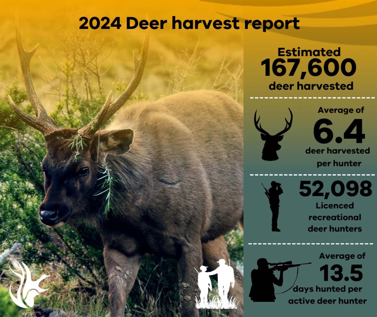 167,600 deer taken in 2024 as hunting booms in Victoria - Sporting Shooter